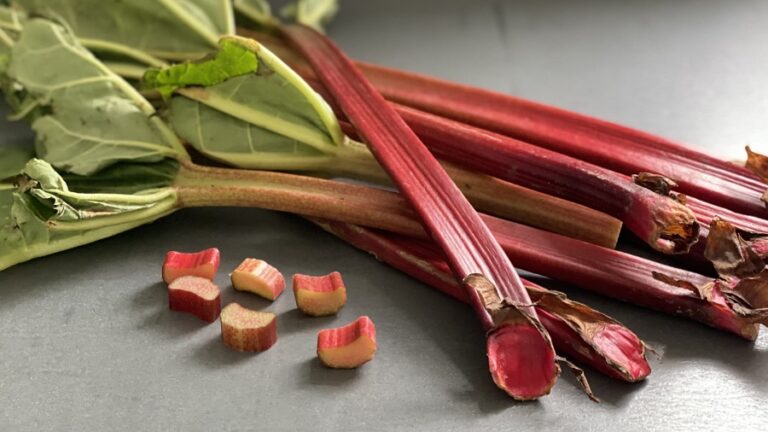 Rens din lever med naturens skatkammer - Harken-universet