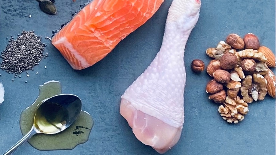 Din guide til proteiner - Harken-universet